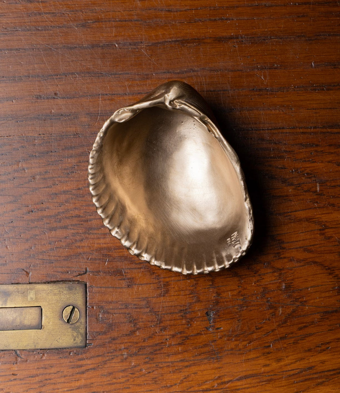 Cockle Shell Opener – Best Made Company